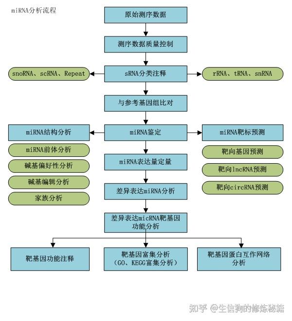 miRNA分析教程（一）基础知识 - 知乎