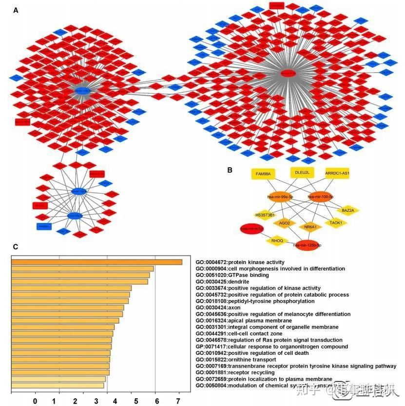 高质量生信作图：ceRNA分析 - 知乎