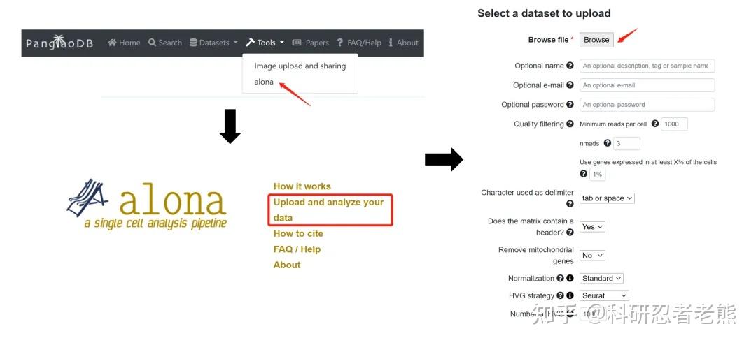单细胞数据挖掘之你绝对值得拥有的PanglaoDB数据库 - 知乎