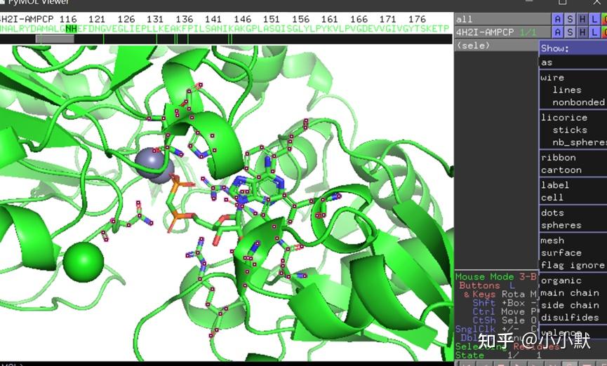 Pymol绘图教程（自用） - 知乎