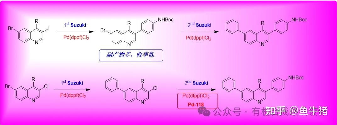 Pd-118，一个比Pd(dppf)Cl2活泼很多的高效催化剂，芳氯的Suzuki不在话下 - 知乎
