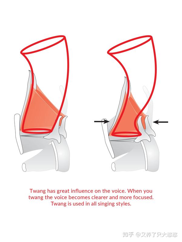 关于歌手共振峰和Twang更详细的内容 - 知乎