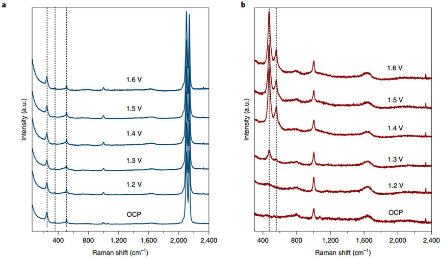 原位系列之原位拉曼篇2 - 知乎