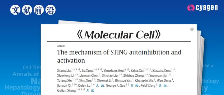 Molecular Cell：尚桂军/高福等团队合作揭示STING的自我抑制和激活机制 - 知乎