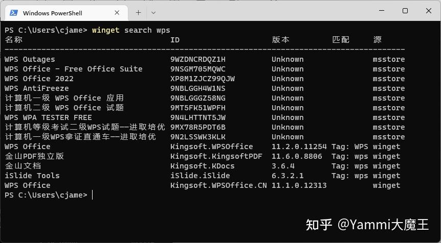 如何使用winget彻底替代各种管家的软件管理工具 - 知乎