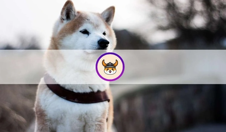 什么是 Floki Inu (FLOKI)？你想知道的关于FLOKI的一切！ - 知乎