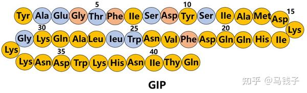 创造奇迹的神药——GLP-1/GIP双受体激动剂替尔泊肽结构-活性浅析（二） - 知乎