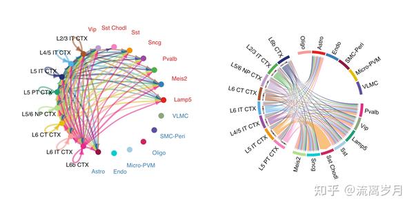 特异性预测神经细胞通讯信号的软件-NeuronChat（一） - 知乎