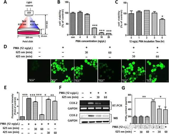多位皮肤科专家发表研究结论：红光有益于治疗皮肤病 - 知乎