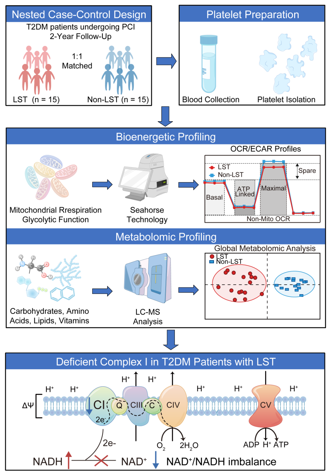 Redox Biol︱王雪玢团队揭示2型糖尿病合并晚期支架内血栓的血小板能量组和代谢组特征 - 知乎