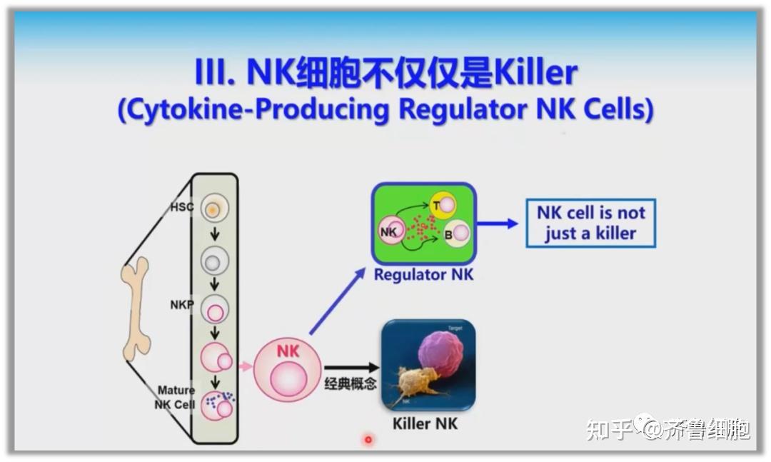 齐鲁健康：免疫学专家讲述“抗癌先锋”—NK细胞 - 知乎