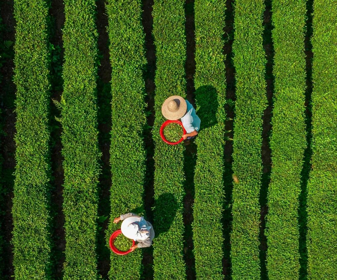 我的电脑配置，天正T20V7，输入命令经常卡顿？请问是什么原因？ - 知乎