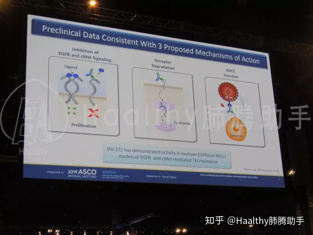 克服EGFR突变耐药新思路，不管C797S还是20突变一个JNJ-372全搞定 - 知乎