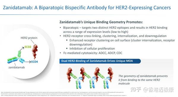 香港迈极康 | 17.6亿美元！Jazz Pharmaceuticals获HER2靶向双抗Zanidatamab开发和商业化权益 - 知乎