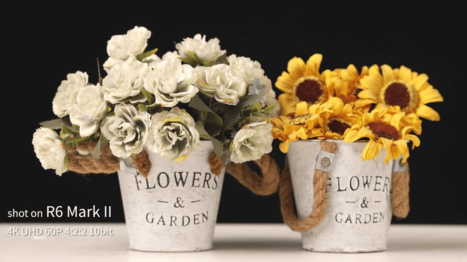 佳能R6 Mark II，外录、6K超采、40张连拍，2万以内全幅选它吗？ - 知乎