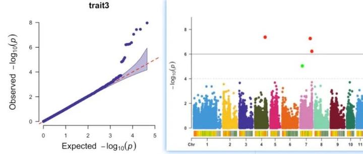 GWAS分析中可视化：QQ图和曼哈顿图 - 知乎