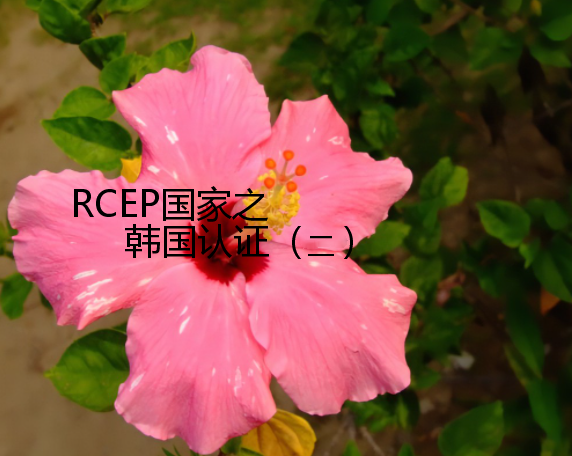 韩国KC---中国出口RCEP协议国家之韩国认证（二) - 知乎