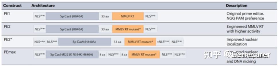 精确和高适用性基因编辑方法Prime Editor 综述介绍（2） - 知乎