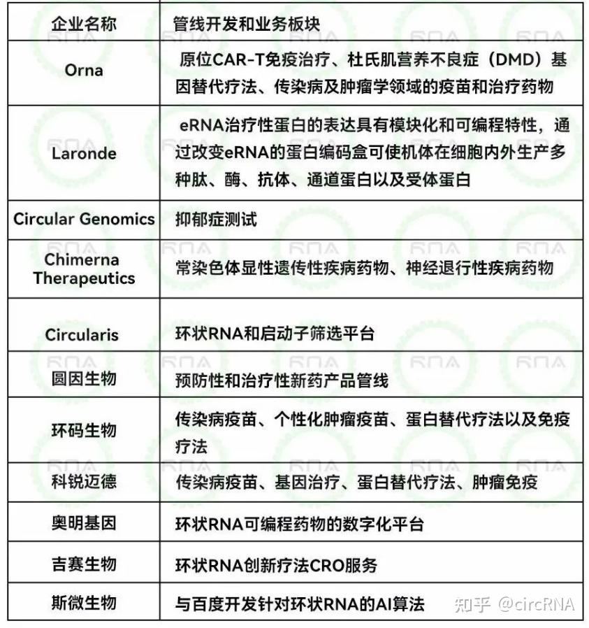 环状RNA从无名之辈成为“顶流”？深度解读环状RNA的前世今生与未来 - 知乎