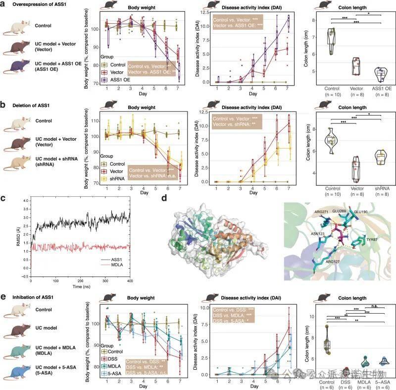 《医学多组学文献分享》Nat. Commun. 重磅发现：靶向ASS1-精氨酸轴或成溃疡性结肠炎治疗新策略 - 知乎
