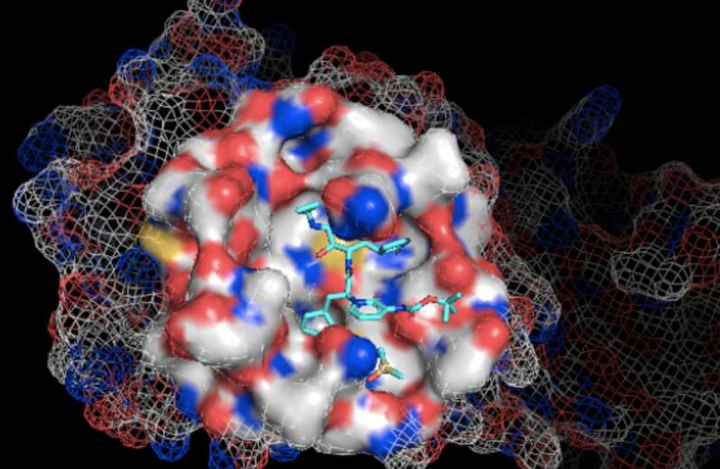 Tre Cell Bio | 深度学习基于细胞图像表型发现药物 - 知乎