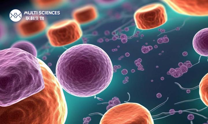 论文分享 | 新发现！一种在MRSA生物被膜的高效精准治疗复合纳米系统 - 知乎