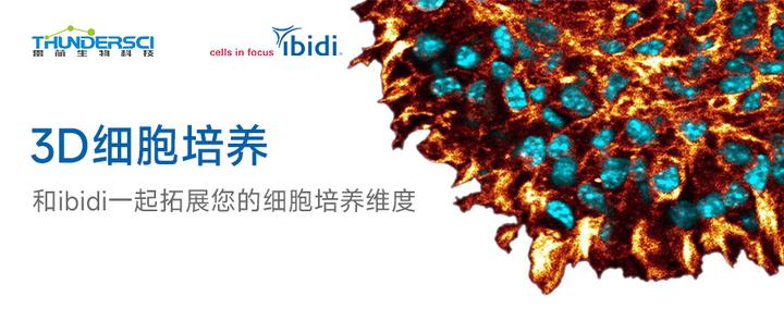 让ibidi专业的3D培养产品提升您的细胞培养体验 - 知乎
