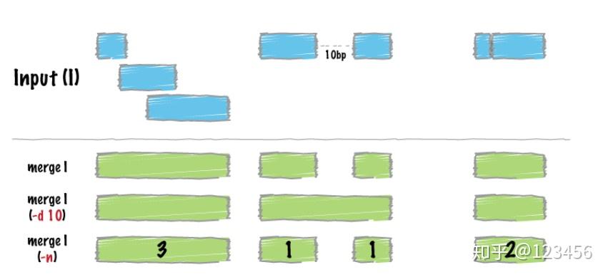 [数据格式][工具] 用bedtools进行集合运算 知乎