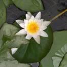 MagicGrid方法学习体会（一）：建模方法内容、步骤及其与SysML关系概览 - 知乎