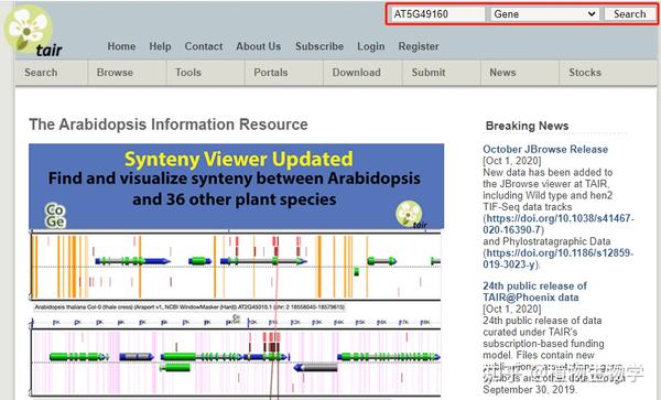 拟南芥种子订购详细攻略-TAIR-ABRC篇 - 知乎