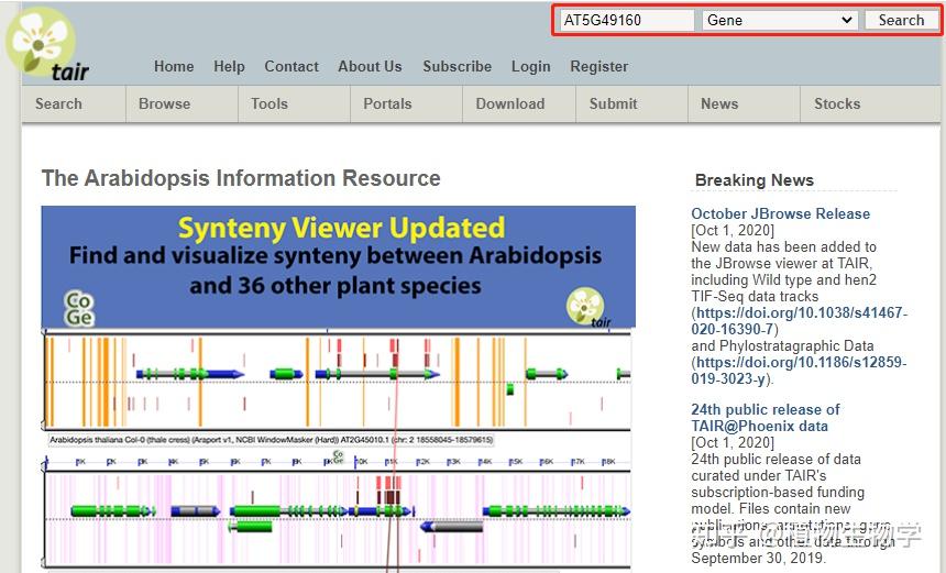拟南芥种子订购详细攻略-TAIR-ABRC篇 - 知乎