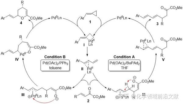 五邑大学彭金宝课题组Org. Lett.：钯催化ACPs与β,γ-不饱和α-酮酸酯的亲核反应：配体调控的发散性合成 - 知乎