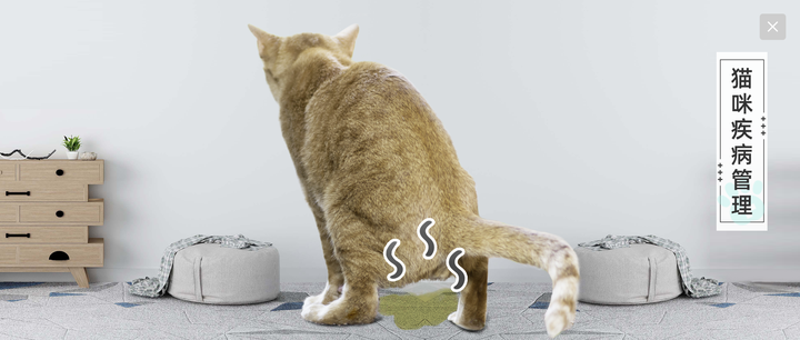 一向老实本分的猫主子竟然乱拉乱尿？对照这篇找找原因吧！ 知乎