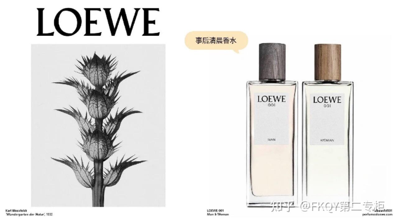 每天认识一个奢侈品牌|罗意威LOEWE - 知乎