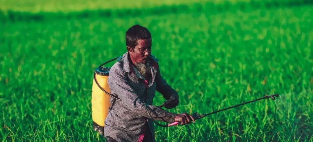 PSIC—巴基斯坦农药认证 - 知乎