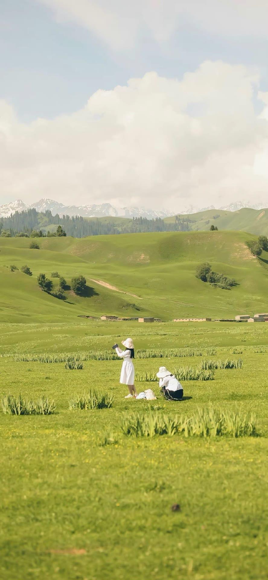 4K、高清壁纸分享 - 知乎