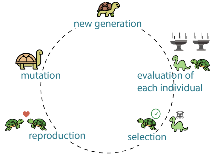 python 实现遗传算法 - 知乎