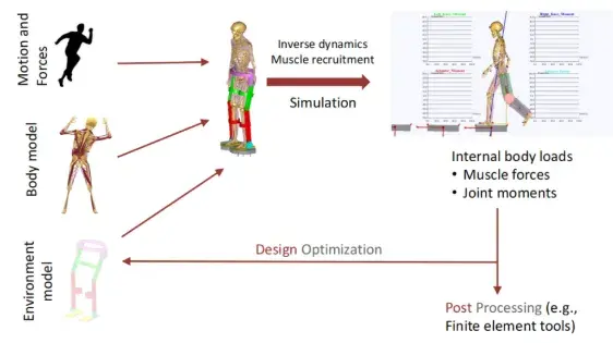 有大佬知道opensim V3d和 Anybody这三款分析软件的区别嘛？哪个适合做简单的步态分析？ - 知乎