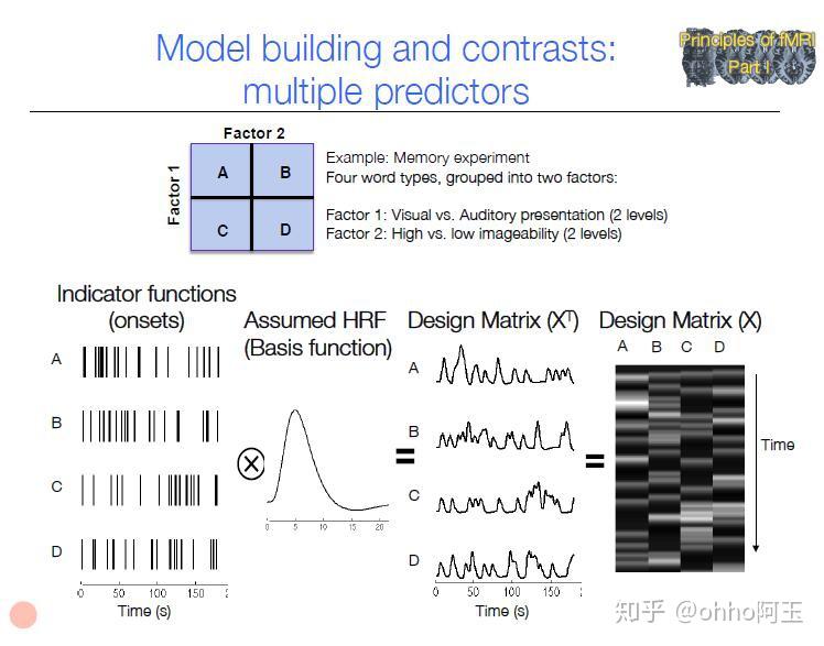 【fMRI】Module17 Details Of Building GLM Models - 知乎
