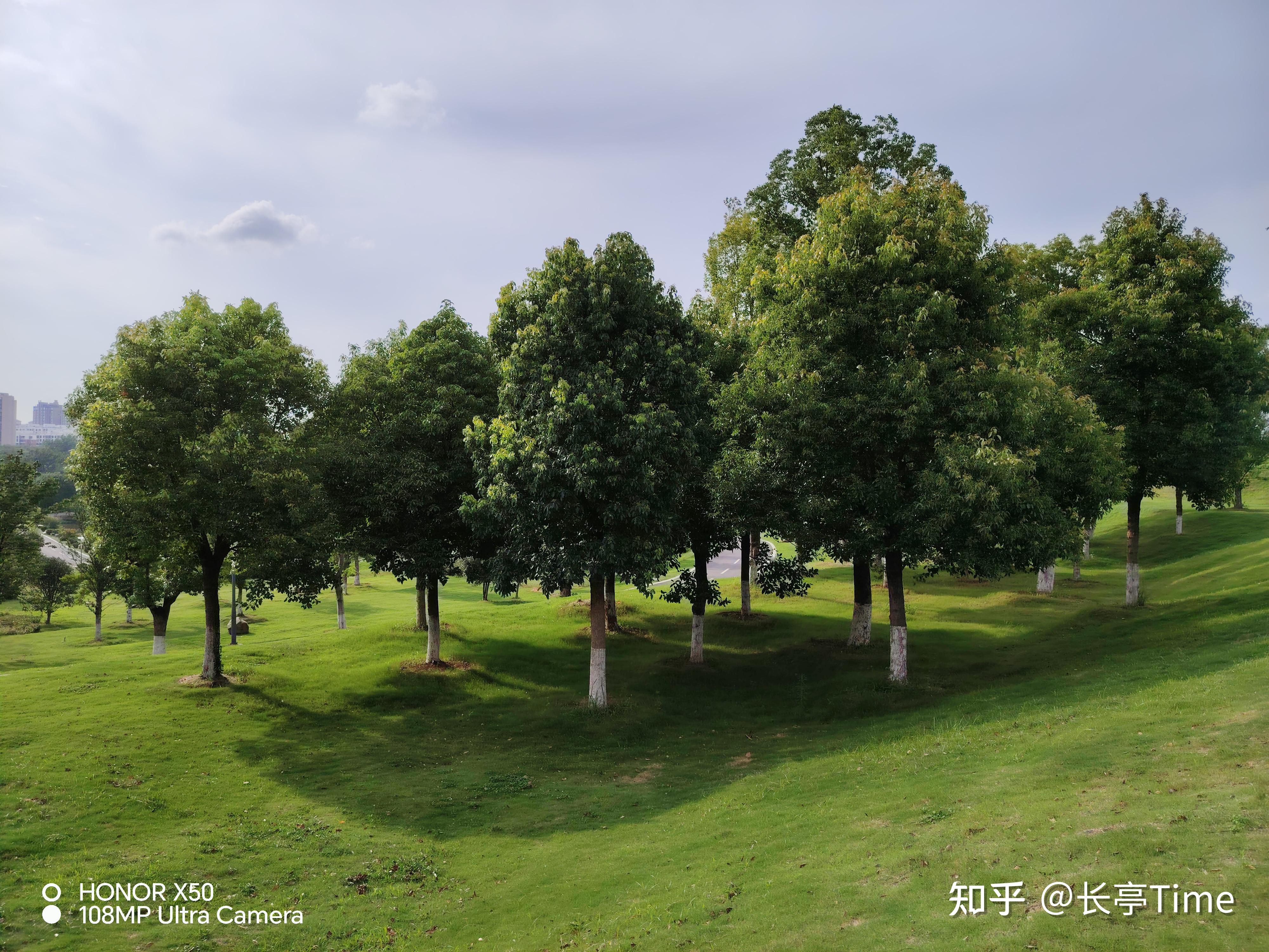 如何看待起售价为 1399 元起的荣耀X50 ？有哪些亮点和不足？ - 知乎