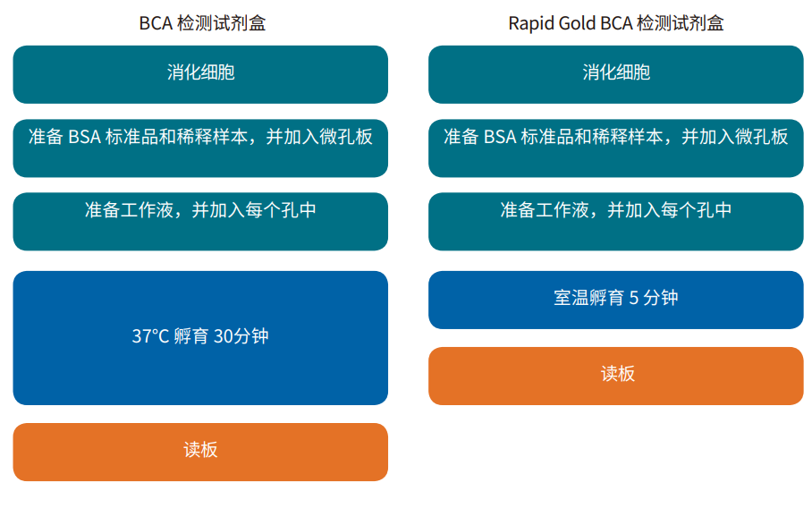 基于 BCA 法的蛋白质定量-SpectraMax iD5 - 知乎