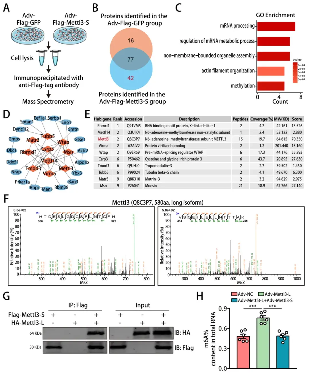 Co-IP/MS：蛋白免疫共沉淀质谱分析服务 - 知乎