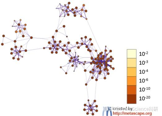 Metascape是专门为生物学者设计的基因列表分析网站 - 知乎
