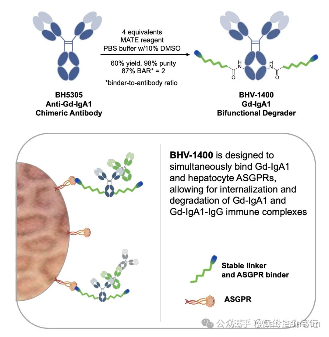 Biohaven MoDE™ 平台技术和代表产品梳理 - 知乎