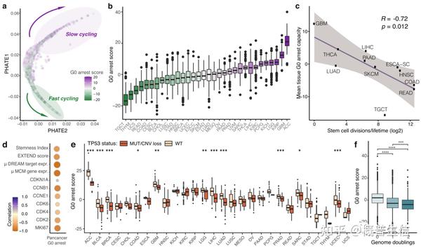 生信分析新热点！-细胞G0期 - 知乎