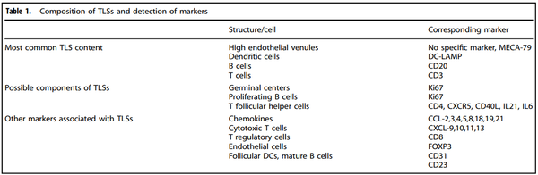 肿瘤免疫新热点：瘤内三级淋巴结构（TLS）的全面解析 - 知乎
