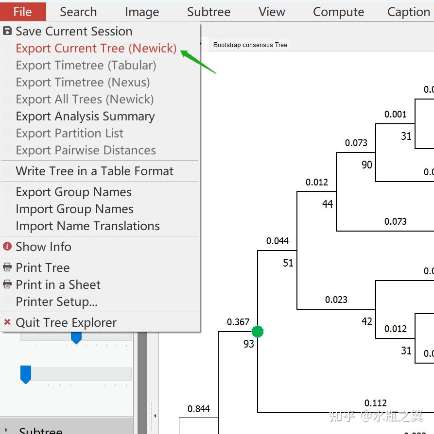 手把手教你绘制进化树（理论与实践） - 知乎