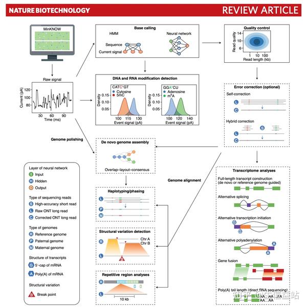 Nanopore专题5| 纳米孔测序技术、生物信息学及应用 - 知乎