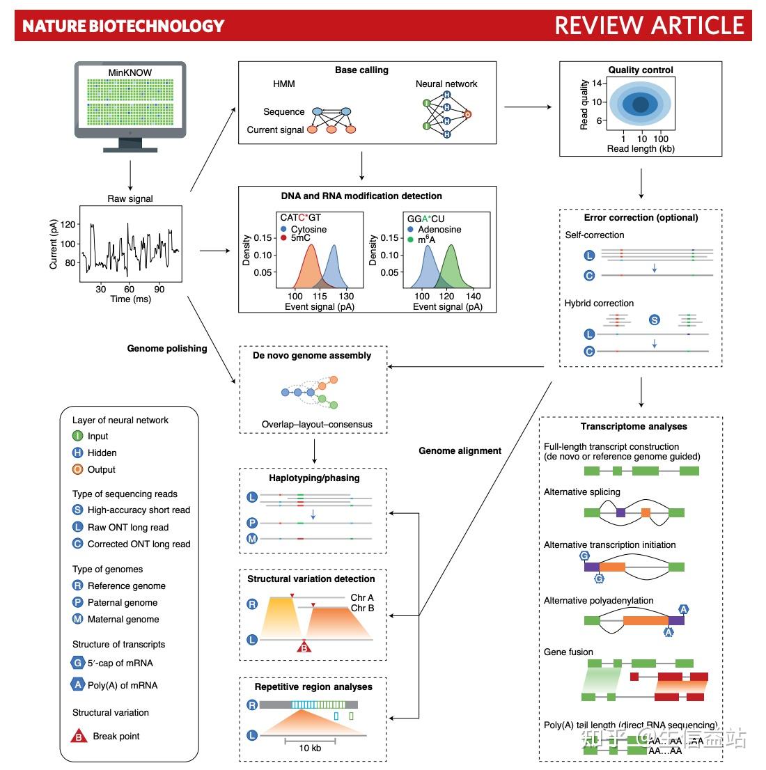 Nanopore专题5| 纳米孔测序技术、生物信息学及应用 - 知乎