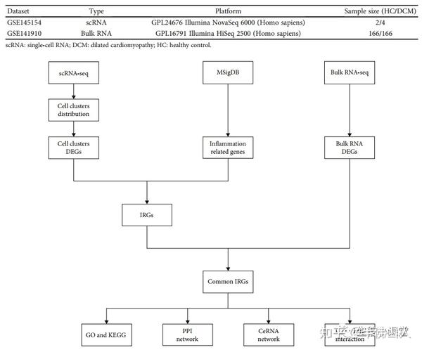 最新7+非肿瘤纯生信，单细胞结合bulk - 知乎